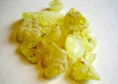 5+ Mastic Gum Benefits + Side Effects, Dosage - SelfDecode Supplements